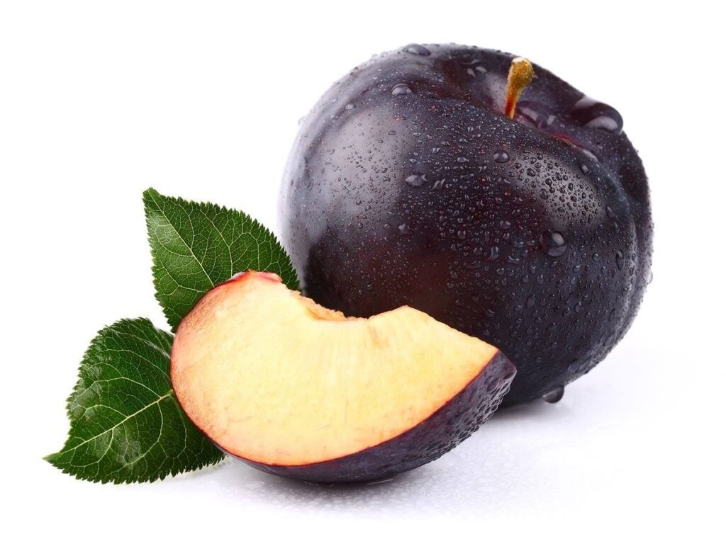 Prun – Pepiniera Dumbrava